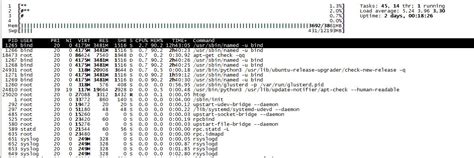 Bind Named High Memory Utilization Server Fault