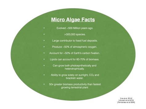 Teamconcordiaprojectmicroalgae