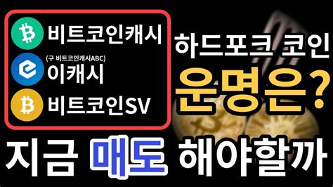 비트코인캐시 이캐시 하드포크 코인 운명은 지금 매도 해야할까feat 비트코인sv 비트코인골드 비트코인다이아몬드