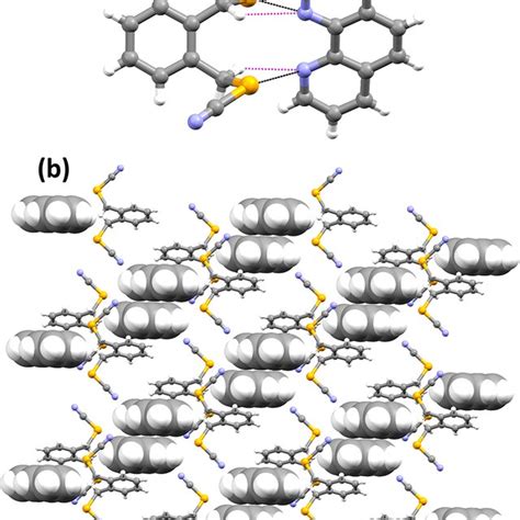 Experimental 77 Se Chemical Shift Tensor Magnitudes A Download Scientific Diagram