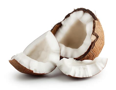 1 000 Free Coconut And Coconut Tree Photos Pixabay
