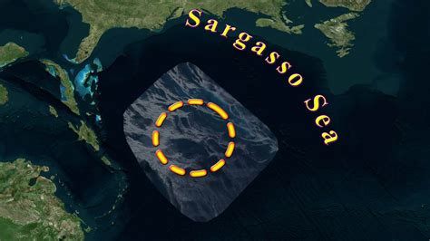 Sargasso Sea Map 30813447 Stock Video At Vecteezy
