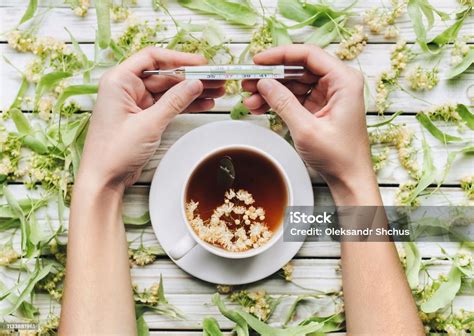 증가 된 온도 린든 꽃 배경에 수은 온도계와 여자 손 독감 기침 급성 호흡기 질환 감기와 독감에 대한 스톡 사진 및 기타 이미지 감기와 독감 건강관리와 의술 건강한