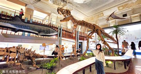 台北親子景點》土銀展示館｜國立臺灣博物館古生物館～銅板價看巨大恐龍、逛神秘金庫 兔兒毛毛姊妹花