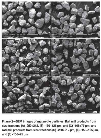 Influence Of Particle Shape On The Flotation Of Magnetite Alone And In