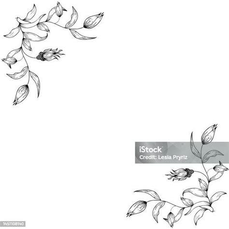꽃 꽃 배경 프레임 테두리 섬세한 꽃과 새싹의 가지 윤곽선 손 그리기 조각 텍스트 공간 포함 0명에 대한 스톡 벡터 아트 및 기타 이미지 Istock