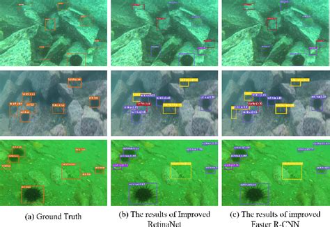 Figure 1 From Underwater Object Detection Aided By Image Reconstruction Semantic Scholar