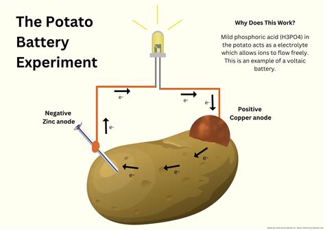 Potato Battery Experiment Pdf Download Chemistry For Classroom Cool Science Experiment Etsy