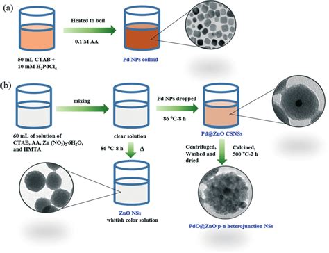 Schematics Of The Synthesis Processes Of A Pd Nps B Zno Nss And Download Scientific