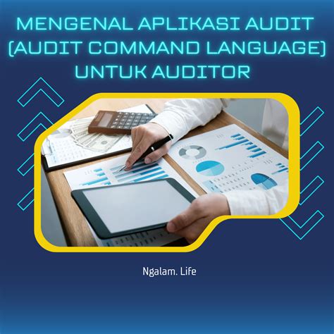 Mengenal Aplikasi Audit Audit Command Language Untuk Auditor Ngalam