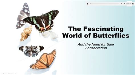 How To Add Audio To PowerPoint Slides ONLYOFFICE Blog