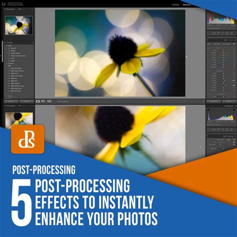 5 Post Processing Effects To Instantly Enhance Your Photos