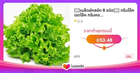 🎯เมล็ดผักสลัด 8 ชนิด🎈 กรีนโอ๊ค เรดโอ๊ค กรีนคอส บัตเตอร์เฮด ผักกาดหอม