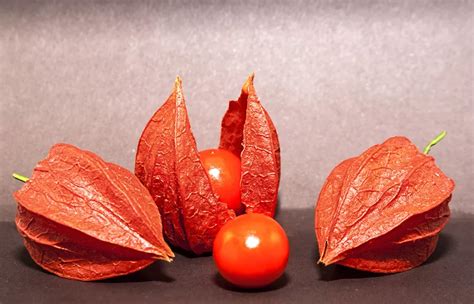 اكتشفي فوائد وأضرار الاشواجندا والمحاذير الطبية مجلة سيدتي