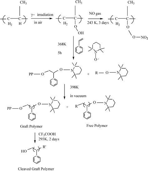 Scheme 5 Reaction Scheme Of Graft Polymerization Of Styrene To Pp The Download Scientific