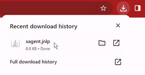 Automated Tests Execution