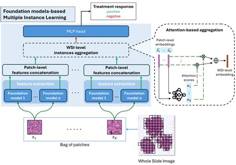 논문 리뷰 Histopathology Image Embedding Based On Foundation Models Features Aggregation For