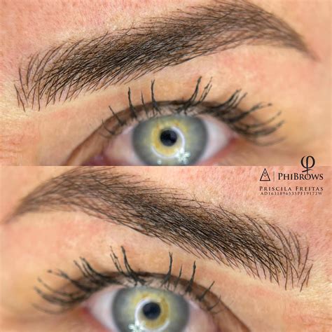 Phibrows Phibrows Microblading Academy Brasil