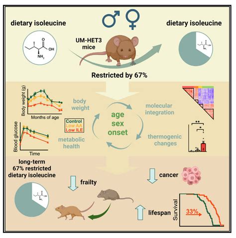 绘谱导读 2023年12月代谢组学文献精选 肿瘤细胞 氨基酸代谢 非靶向代谢 脂质 多组学代谢流检测分析 脂肪酸定量 肠道微生物菌群检测 麦特绘谱