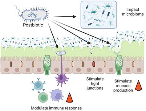 Full Article The Clinical Evidence For Postbiotics As Microbial