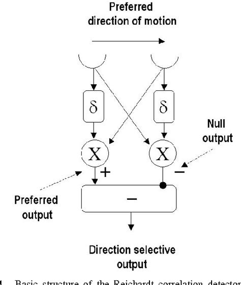 Figure 1 From A Collision Avoidance Model Based On The Lobula Giant