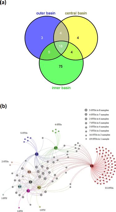 A Venn Diagram Showing The Degree Of Overlap Of Fungal Otus Among The 3 Download Scientific
