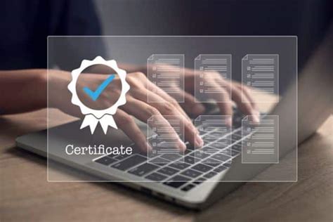 Lms Vs Lxp Whats The Difference Pros And Cons