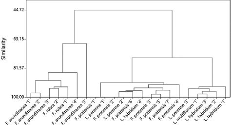 Upgma Based Dendrogram Showing The Genetic Relationship Among Download Scientific Diagram