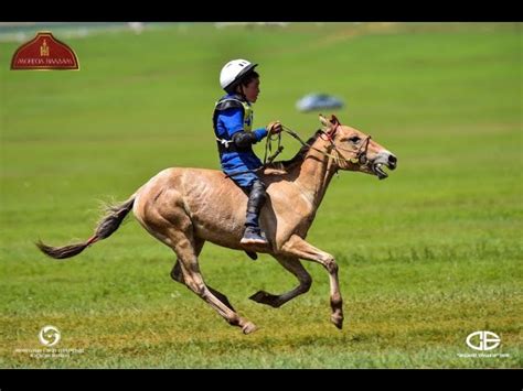 Балчир насны нөхөр Дуу Balchir Nasnii Nukhur Duu Chords Chordify
