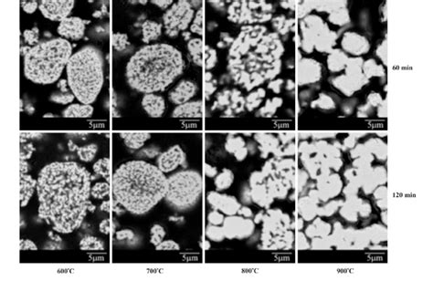 Sem Micrographs Of The Cross Sections Of Bnc Samples Reduced In 15 Pct
