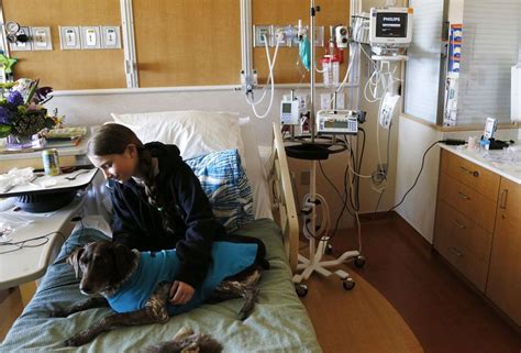 How Bringing Room Service To Hospitals Can Help Patients Heal Cbc Radio