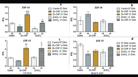 Relative Expression Levels Qrt Pcr Relative To Actin Expression Of Download Scientific