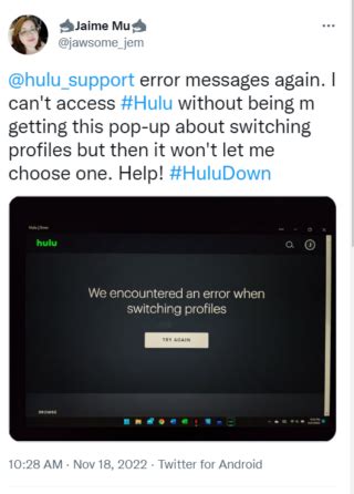 Hulu We Encountered An Issue While Switching Profiles Error