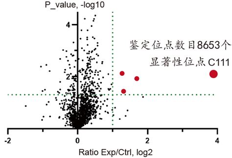 创新药物先导化合物发现 核心业务 南京科络思生物科技有限公司