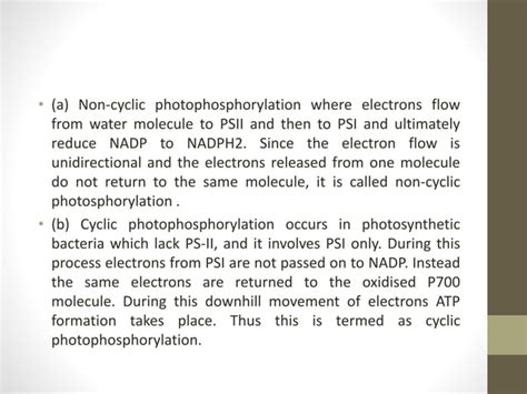 Photochemical And Biosynthetic Phase Pptx