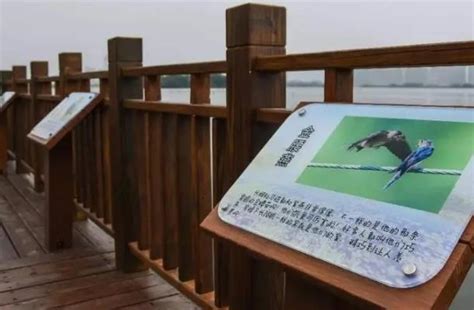 厦门园博苑观鸟长廊介绍 旅泊网