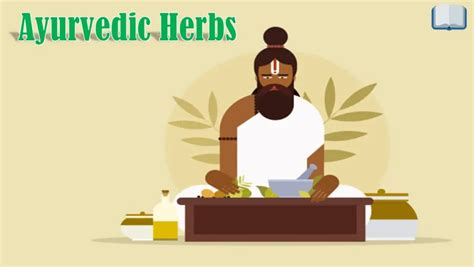 Cpu क्या है जाने 5 प्रकार के सीपीयू कौन से है Hindi Web Book