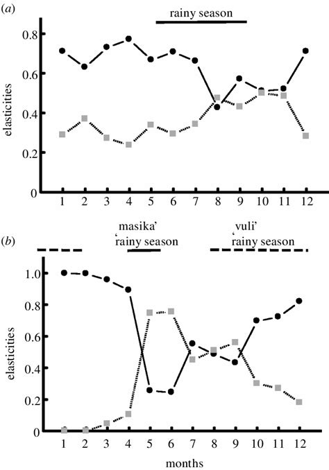 Monthly Elasticity Coefficients Estimated From The Matrix Models Download Scientific Diagram