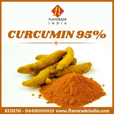 Curcumin 95% at best price in New Delhi by Shakti Trading Co. | ID ...