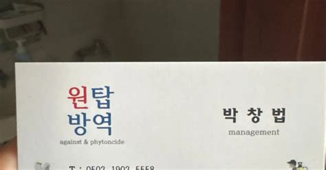 늦은시간에 상담 요청 드렸는데도 잘 상담해주셨고 작업도 너무 꼼꼼히 잘해주셨어요~ 설명까지 곁들여서 해주신 덕분에 마음이 놓였습니다 감사합니다 숨고 숨은고수