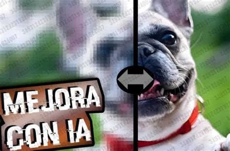 Aigc工具教程 Aigc工具使用方法 Ai奇点网