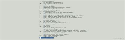 tina sdk 使用v833 v831 npu跑yolo网络 如何利用npu运行yolo csdn博客