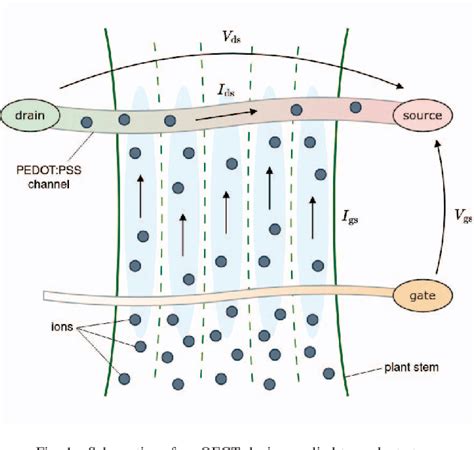 Figure 1 From Energy Efficient Oect Sensor Data Analysis On Constrained Edge Devices Semantic
