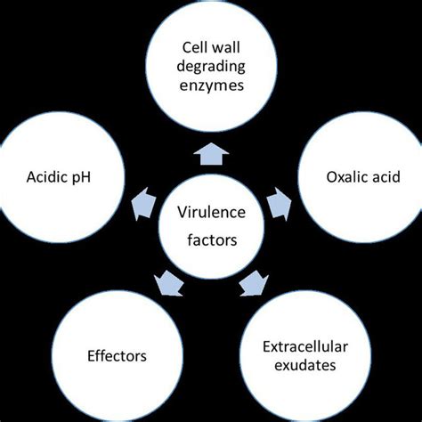 Mass Spectrometry Based Proteomics For The In Vitro Profiling Of Download Scientific Diagram