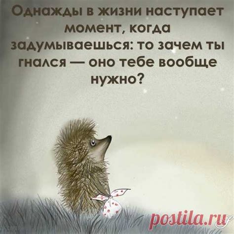 Яндекс Картинки поиск похожих изображений смешно Постила