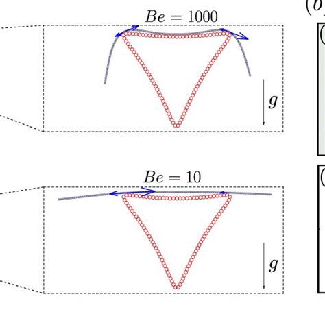 A Evolution Of The Tangential Component Frictional Force Of The