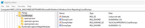Openvpn GUI Crashes The Connection Remains Issue OpenVPN Openvpn Gui GitHub