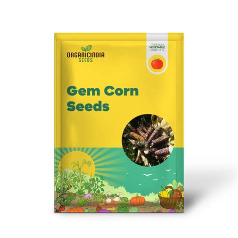 Gorgeous Gem Indian Corn Seeds Grow A Kaleidoscope Of Colors In Your Cornfield