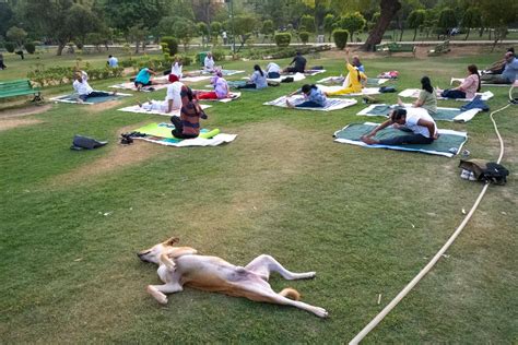 chetan verma — about photography