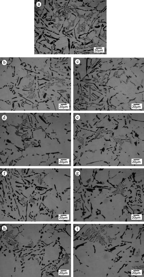 Optical Micrographs Compare The Microstructure And Area Fraction Of Download Scientific Diagram